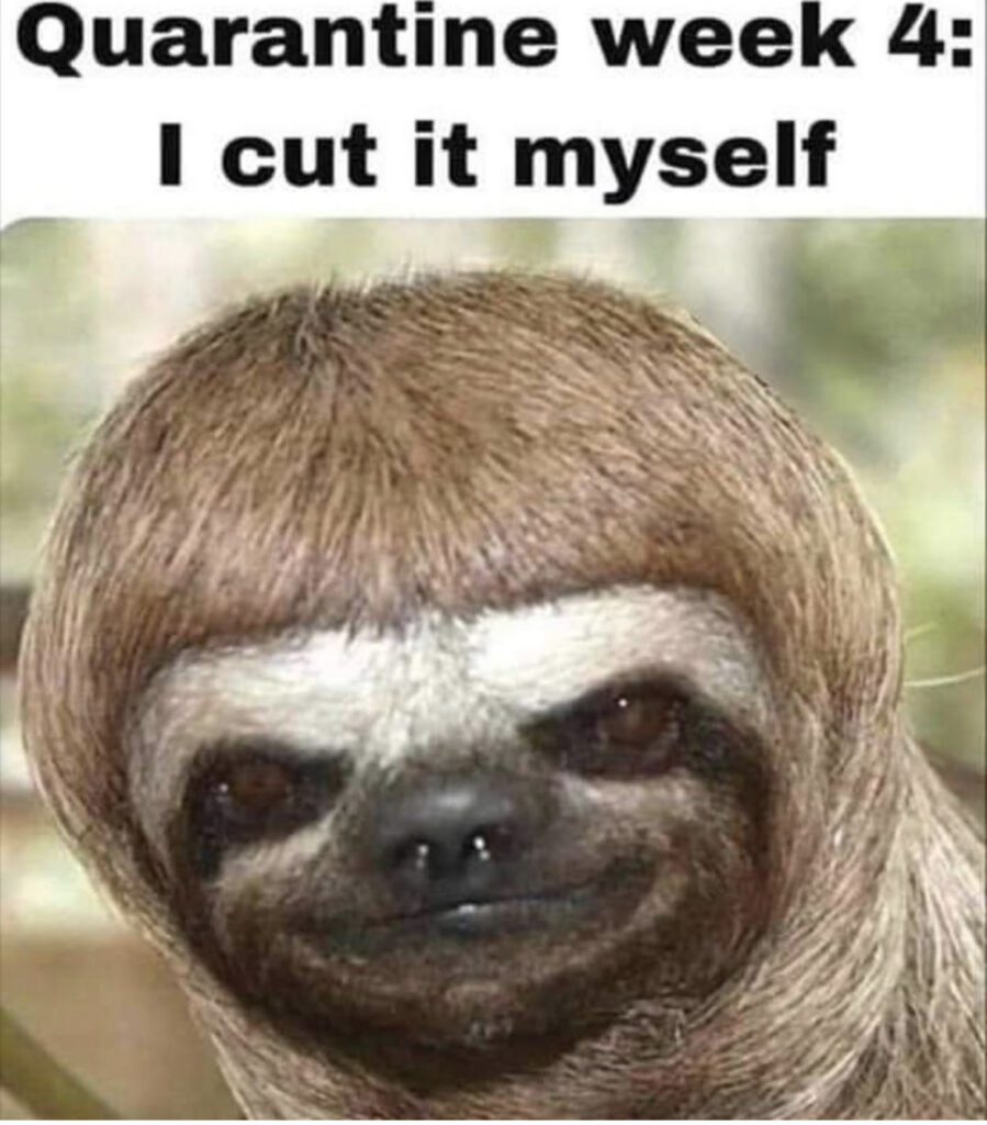 10 Funny Quarantine Memes - Wifetime of Happiness